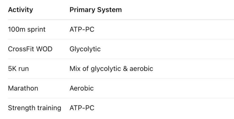 How The Body Powers Your Movement: Understanding the 3 Energy Systems ...